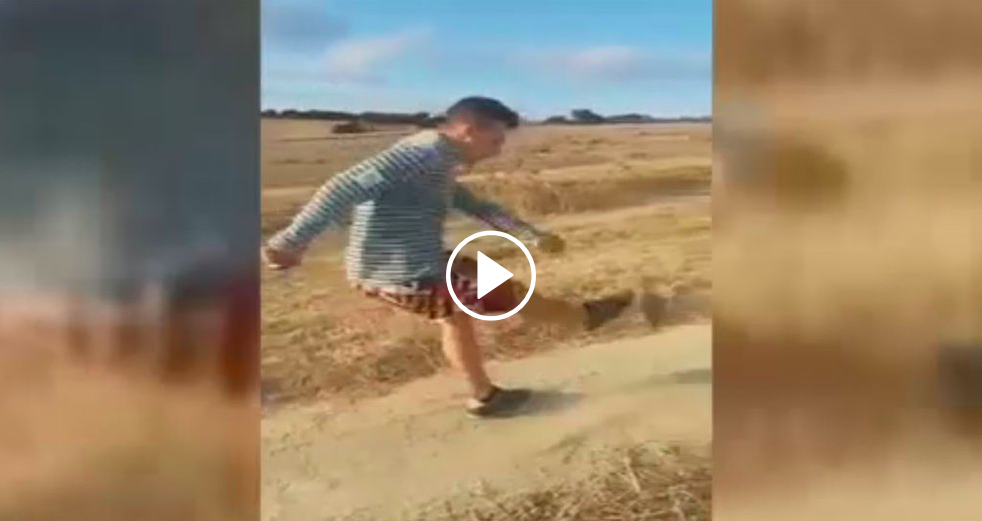 Se busca a un joven que agredió brutalmente a un conejo dándole una patada